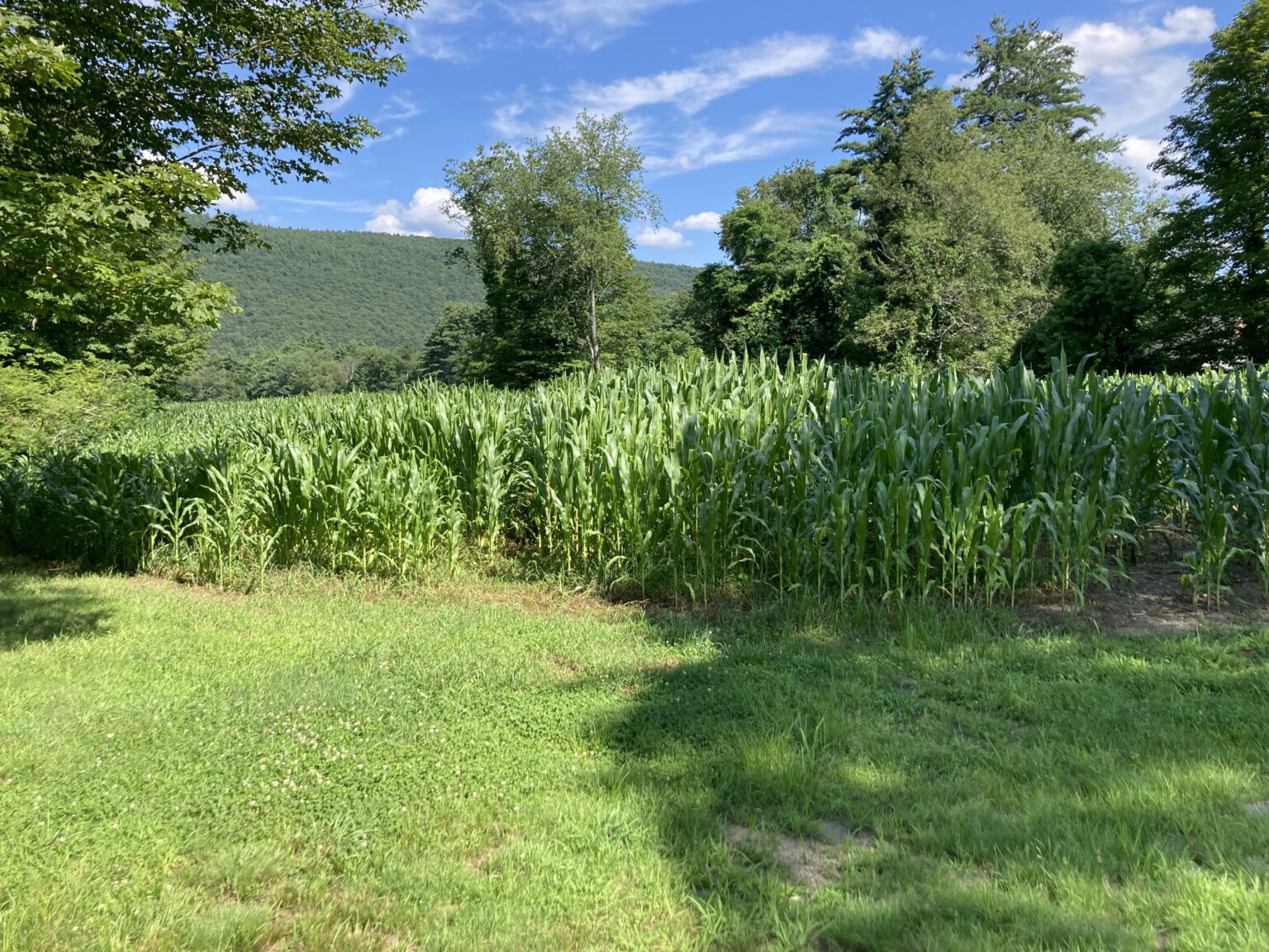 Conservation Commission - Town of SurryTown of Surry